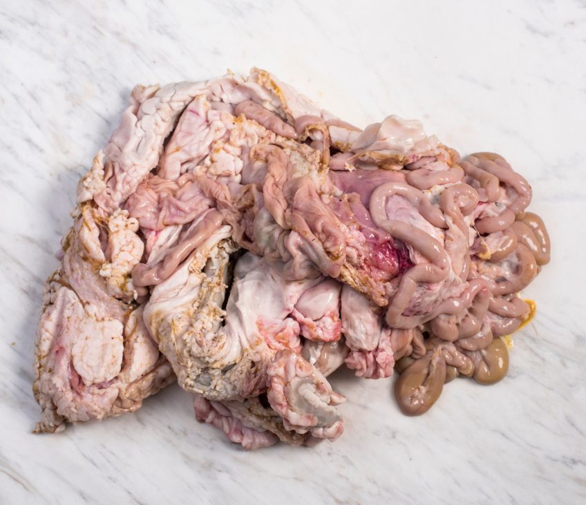 Sheep Intestines | 10 kg Box – Livhu Nama